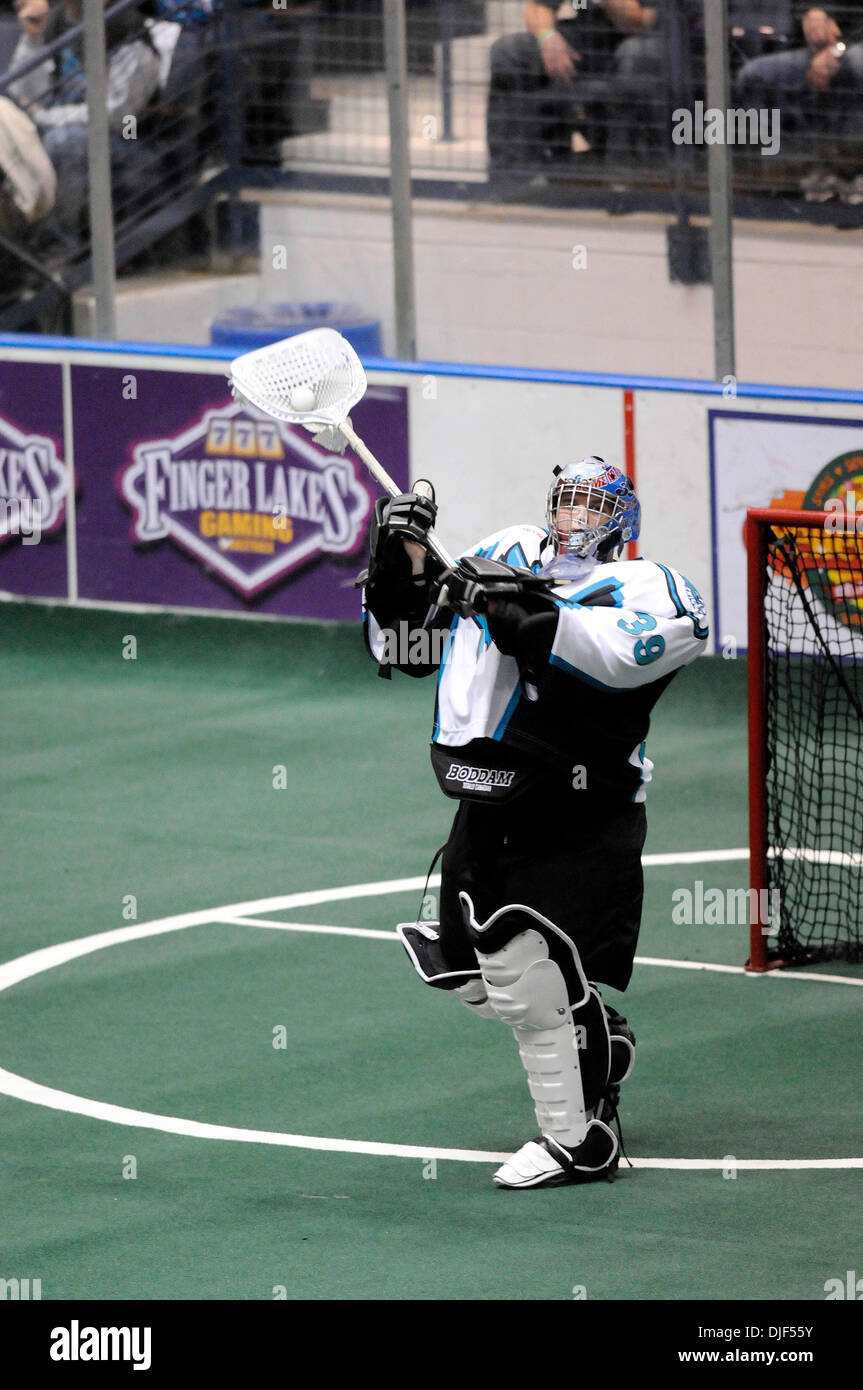 Knighthawks hi-res stock photography and images - Alamy