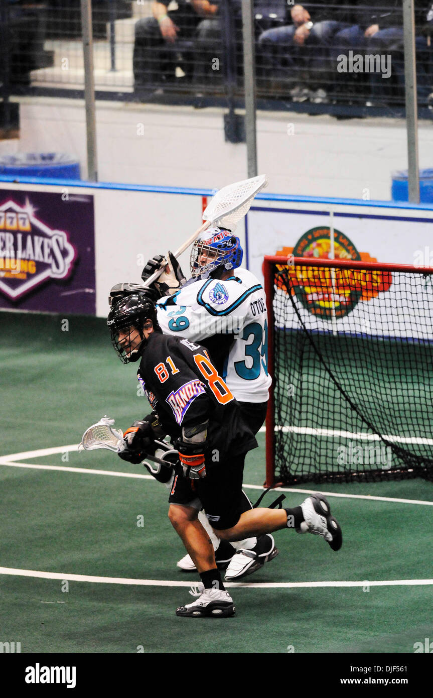 Knighthawks hi-res stock photography and images - Alamy