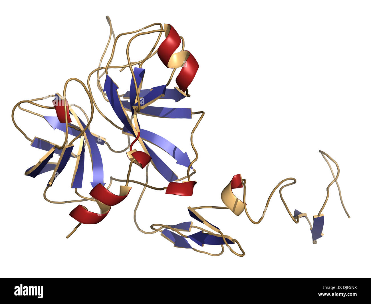 Drotrecogin alfa hi-res stock photography and images - Alamy