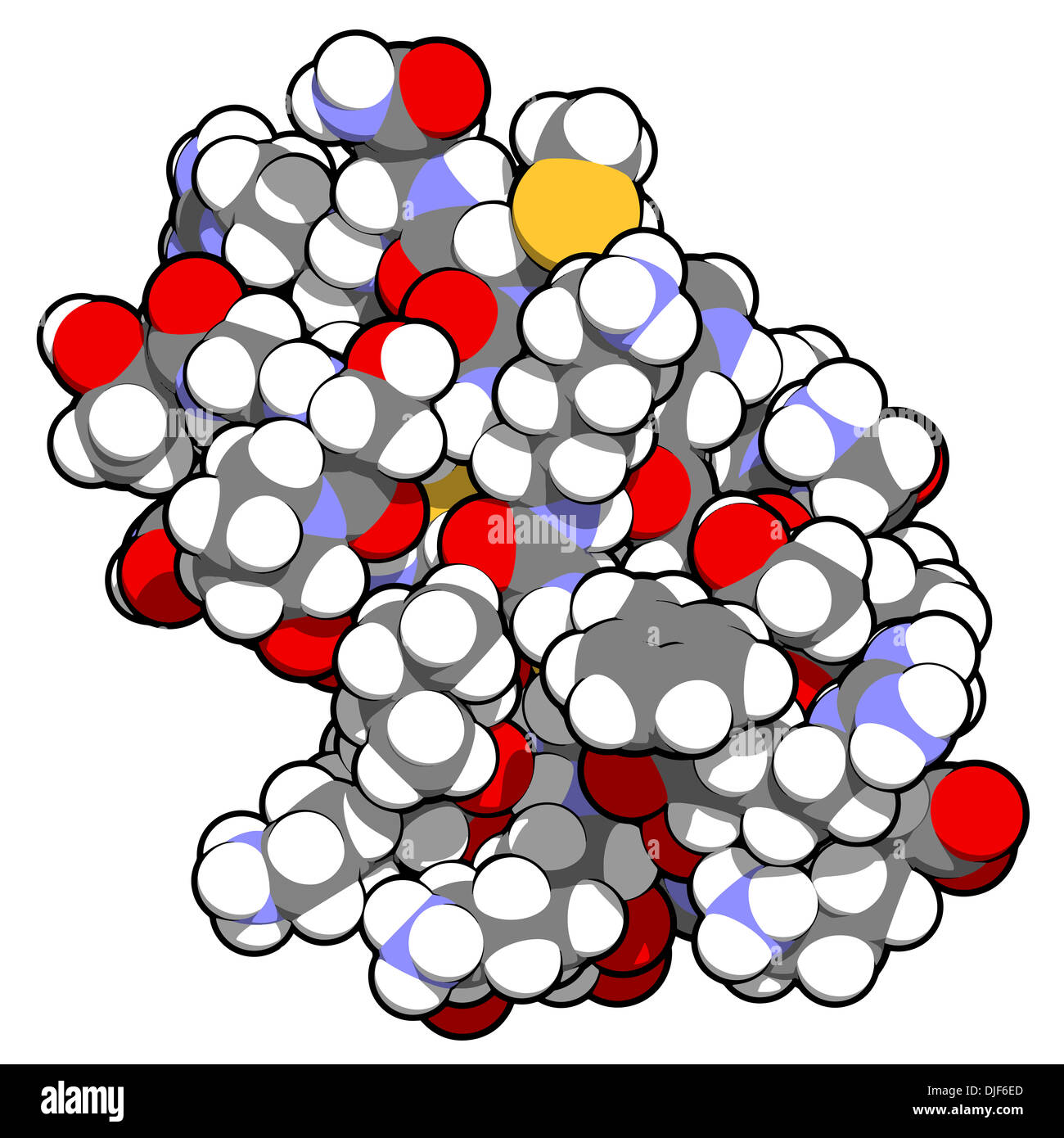 Agitoxin scorpion toxin. Neurotoxin present in deathstalker scorpion ...