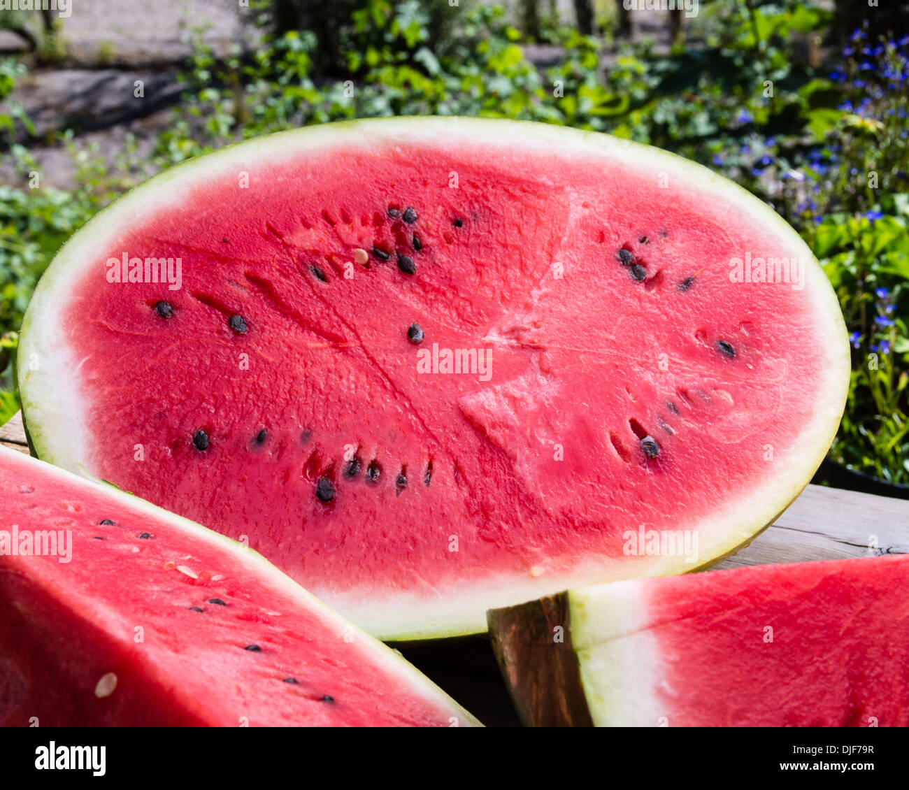 A ripe watermelon sliced and showing the seeds Stock Photo - Alamy
