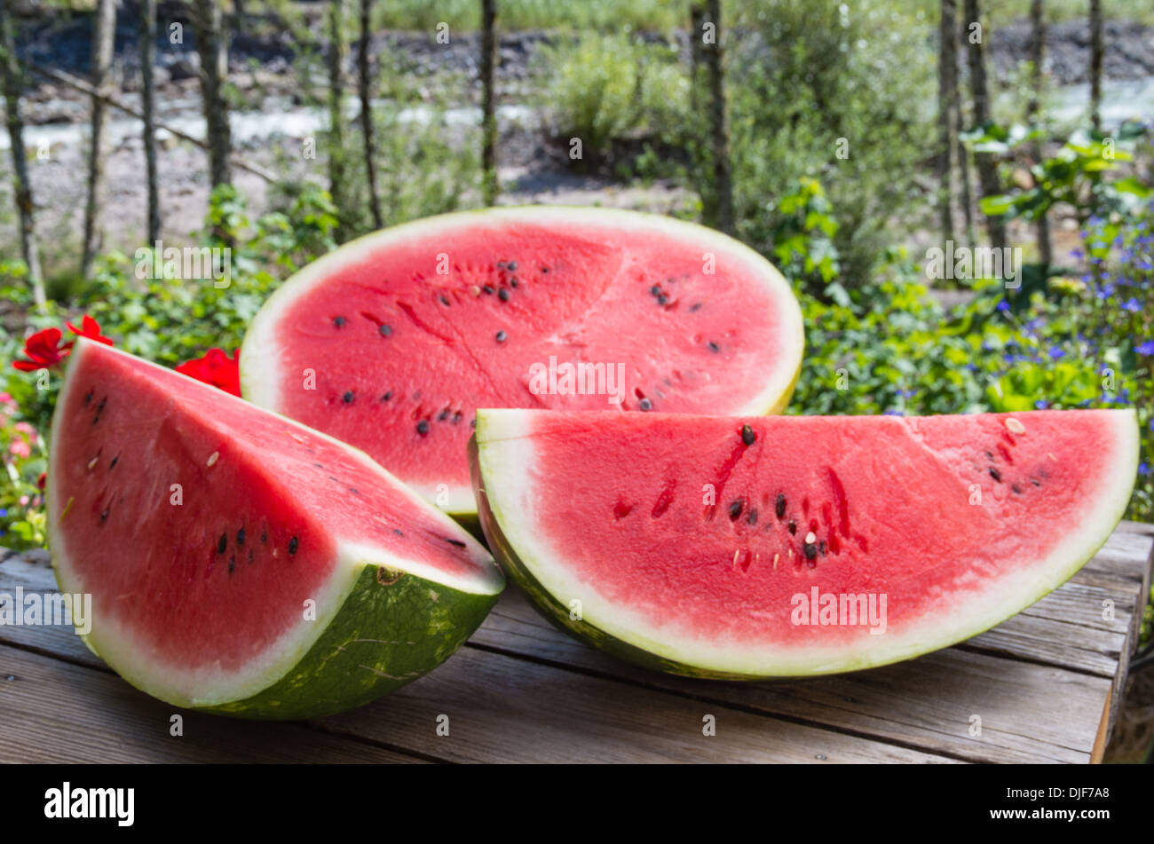 A ripe watermelon sliced and showing the seeds Stock Photo - Alamy