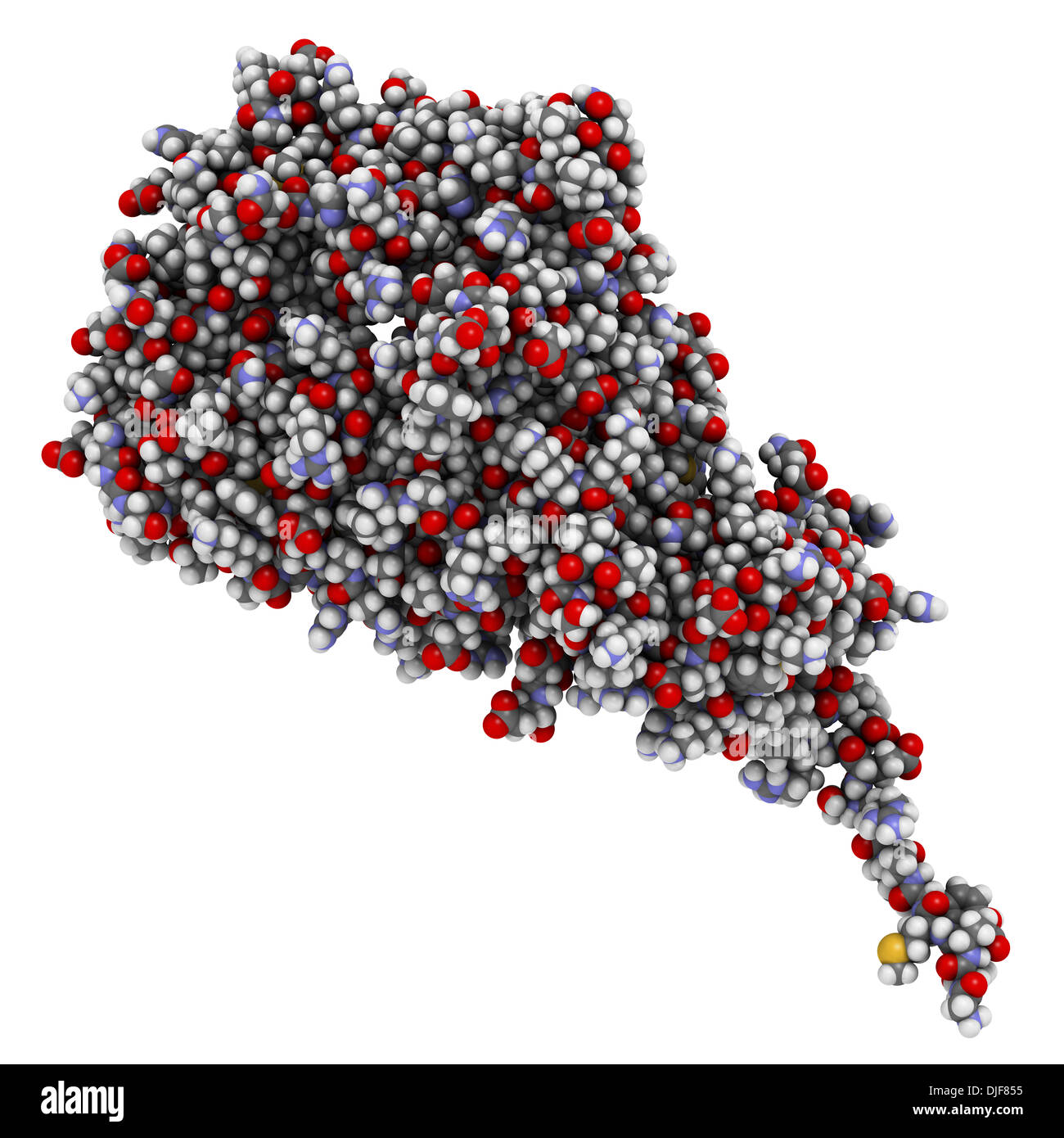 Ampk hi-res stock photography and images - Alamy