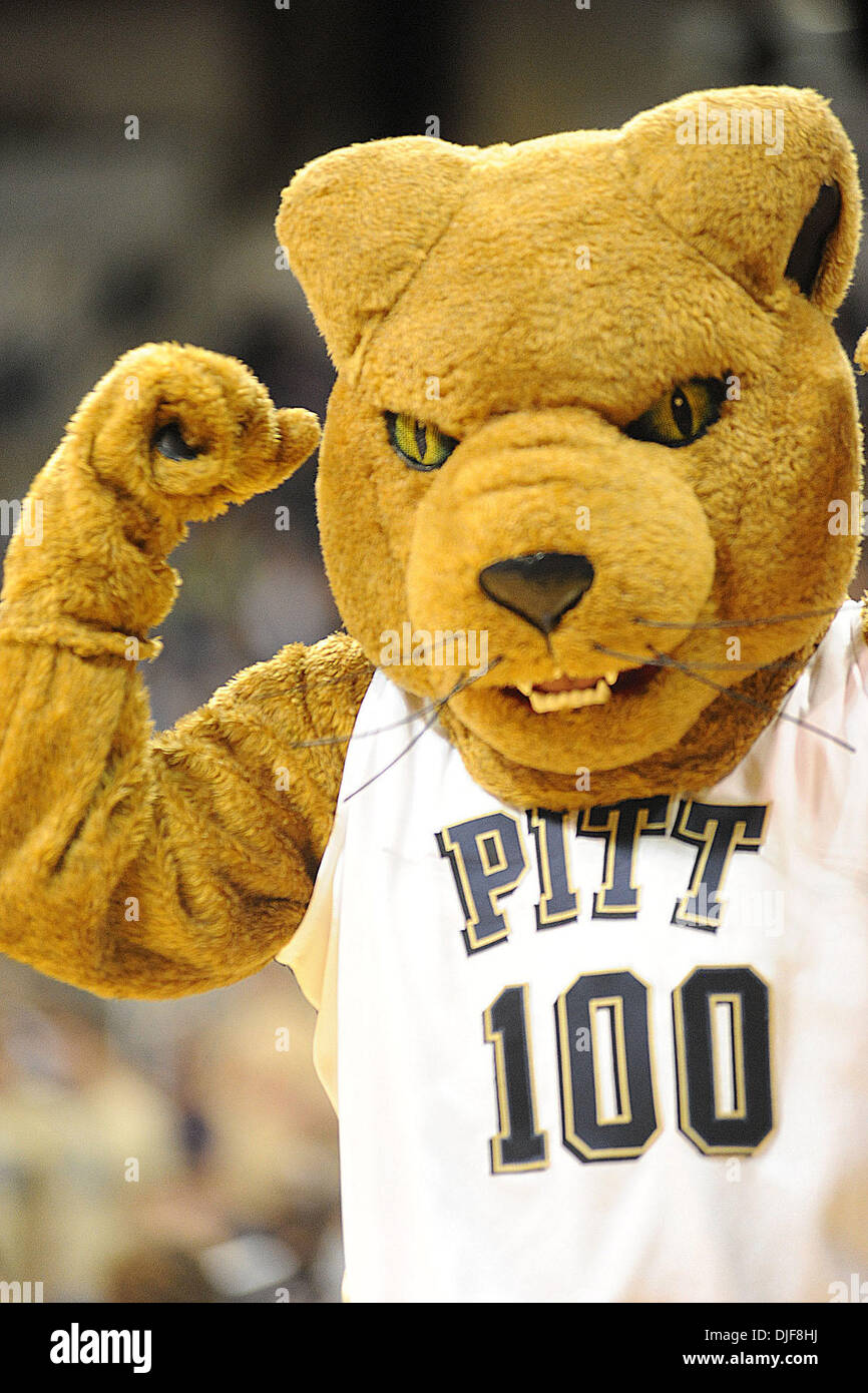 Panther mascot hi-res stock photography and images - Alamy