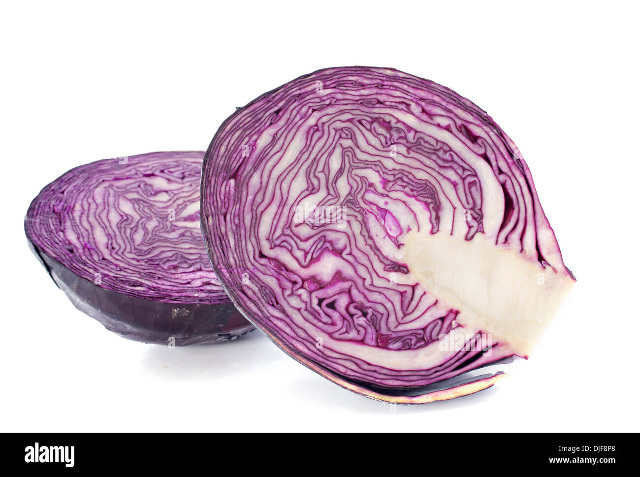 Red cabbage in front of white background Stock Photo - Alamy