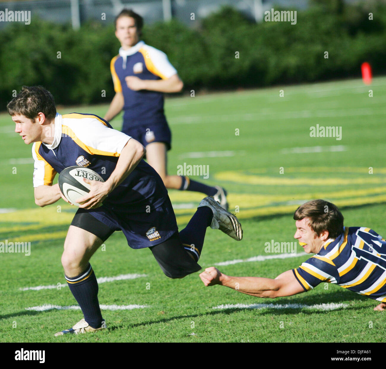 Cals takes hi-res stock photography and images - Alamy