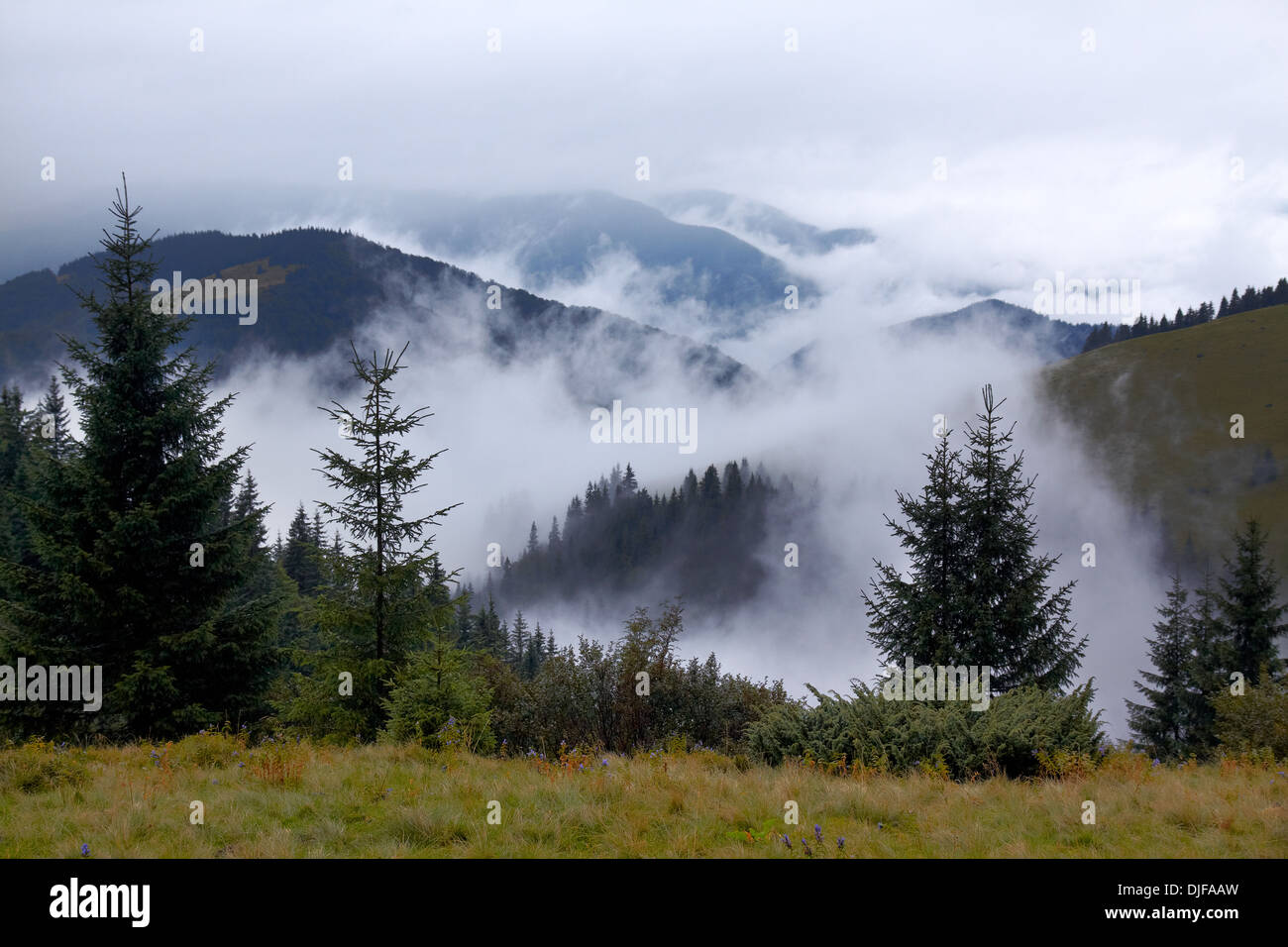 Mountine hi-res stock photography and images - Alamy