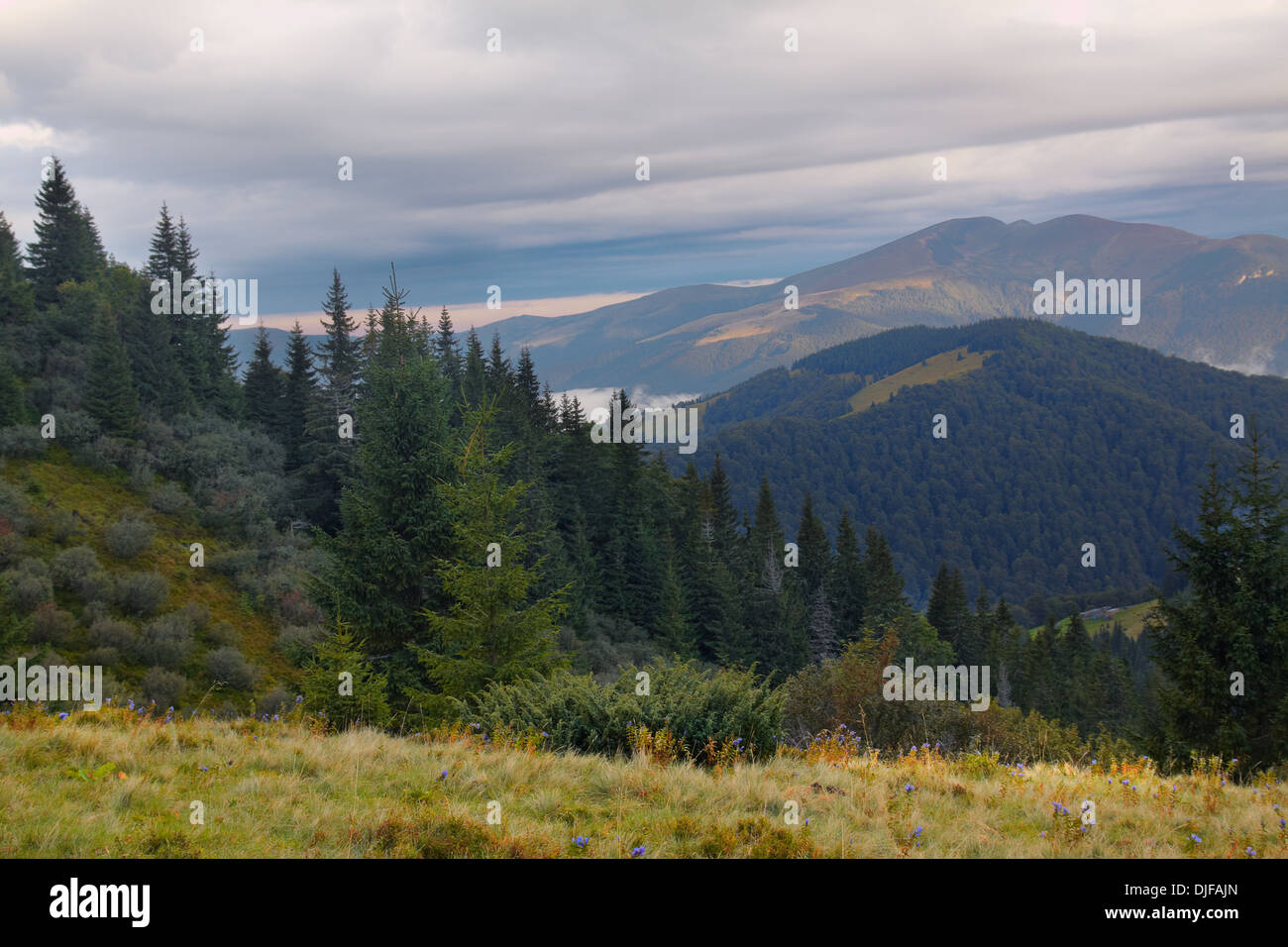 Mountine hi-res stock photography and images - Alamy