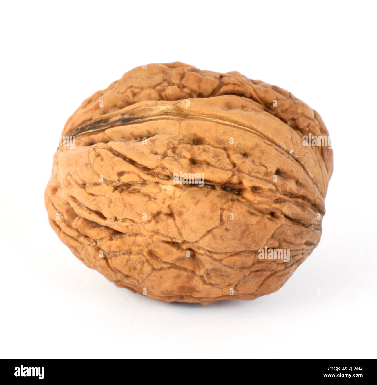 Walnut isolated on white background Stock Photo - Alamy
