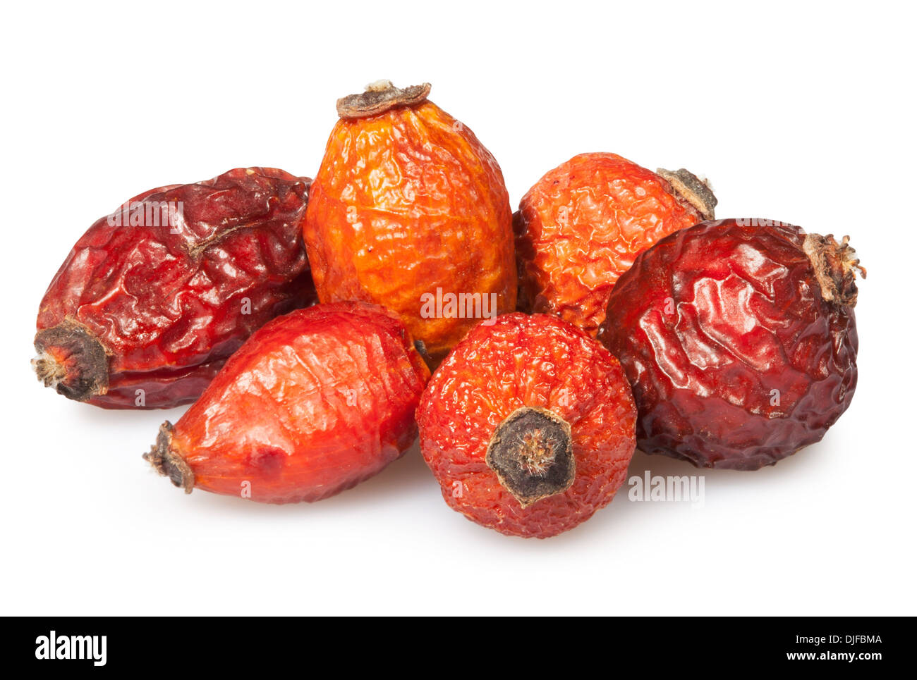 Briar rose Cut Out Stock Images & Pictures - Alamy