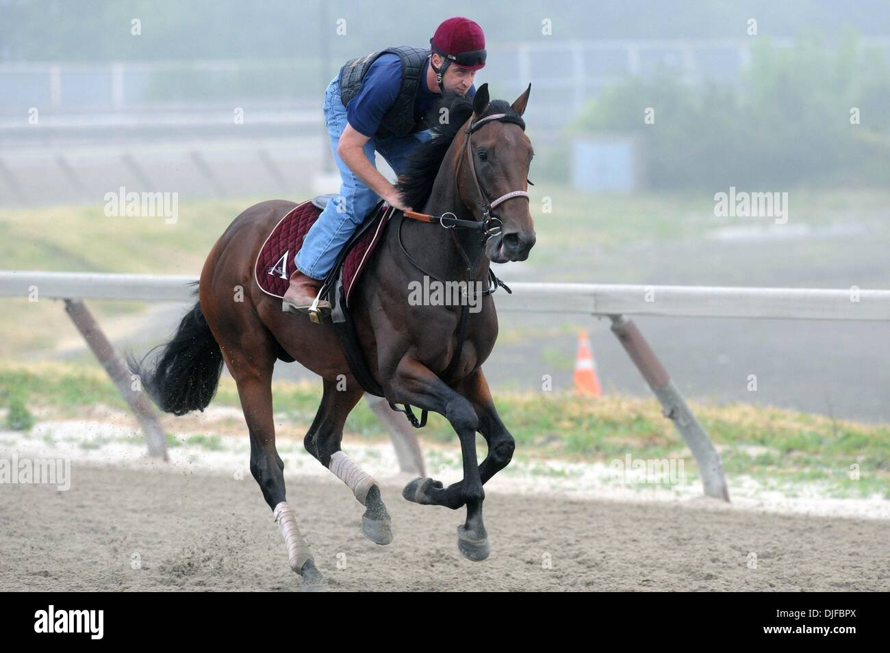 Jun 03, 2010 - Elmont, New York, USA - Belmont Stakes hopeful MAKE ...