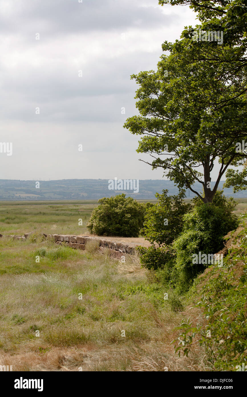 The site and remains of Denhall Quay at Little Neston between Ness and ...