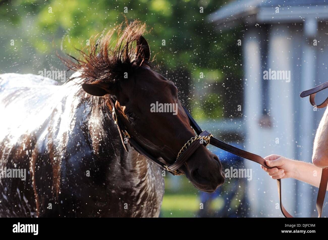 Belmont park racecourse hi-res stock photography and images - Alamy
