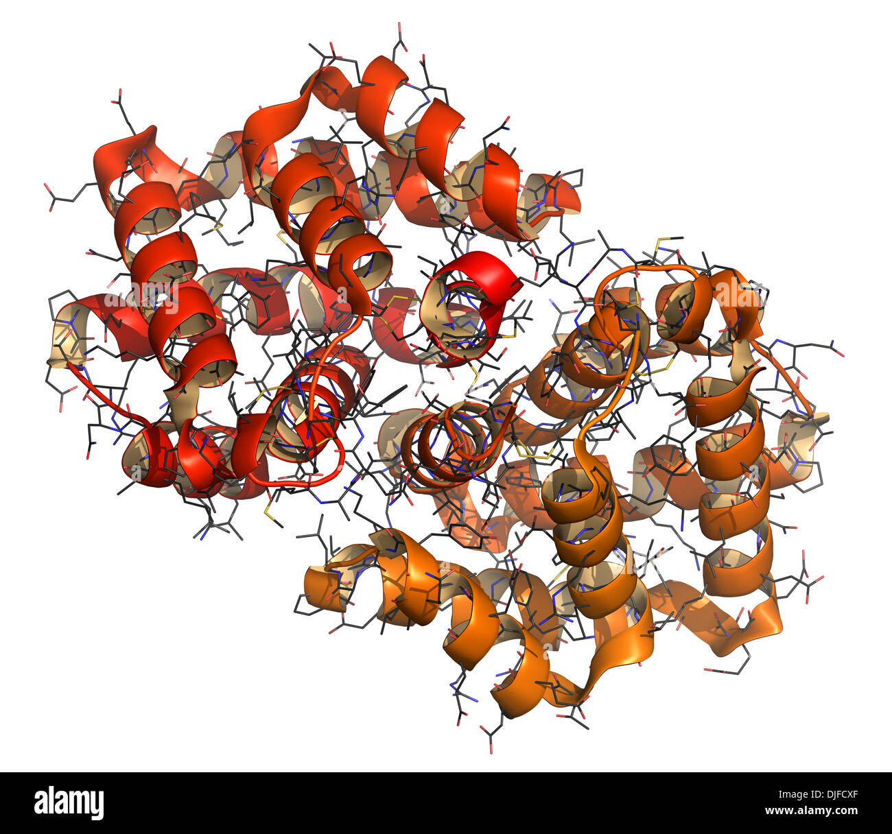 Protein structure wire hi-res stock photography and images - Alamy