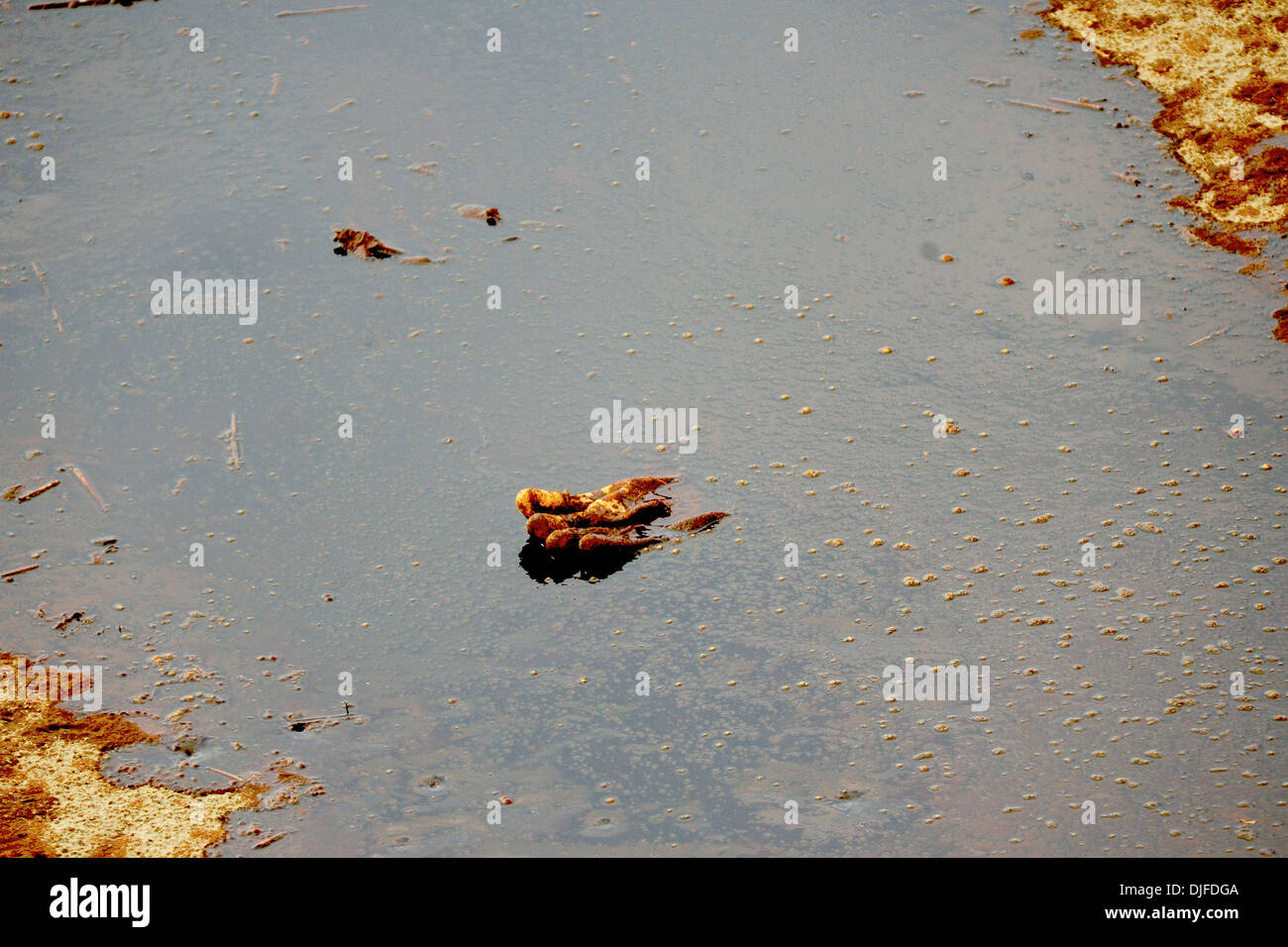 Clean up crew hi-res stock photography and images - Alamy