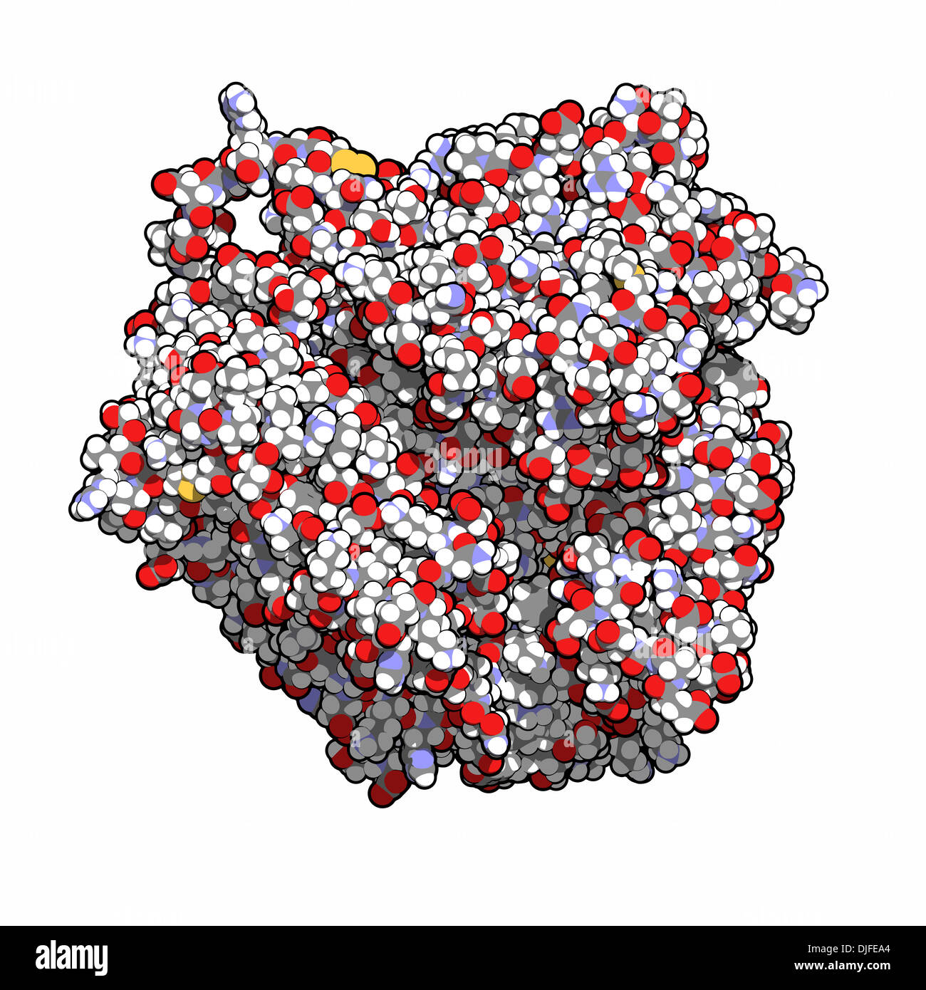 Ceruloplasmin ferroxidase enzyme. Catalyses iron oxidation. Also main ...