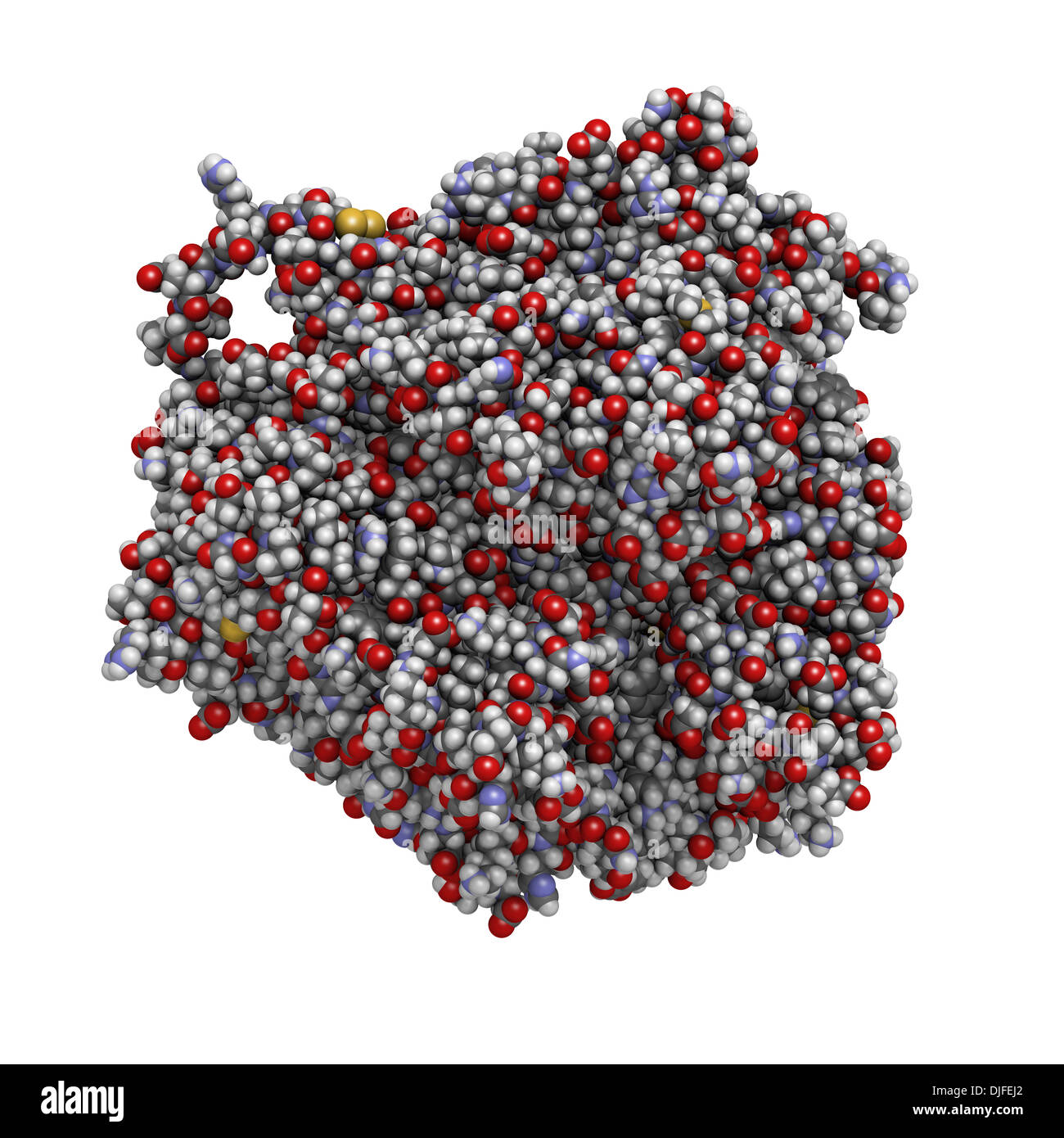 Ceruloplasmin ferroxidase enzyme. Catalyses iron oxidation. Also main ...