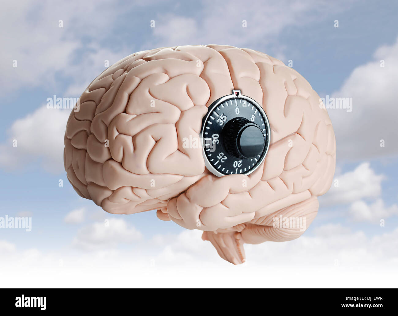 Human brain model with a dial lock Stock Photo - Alamy