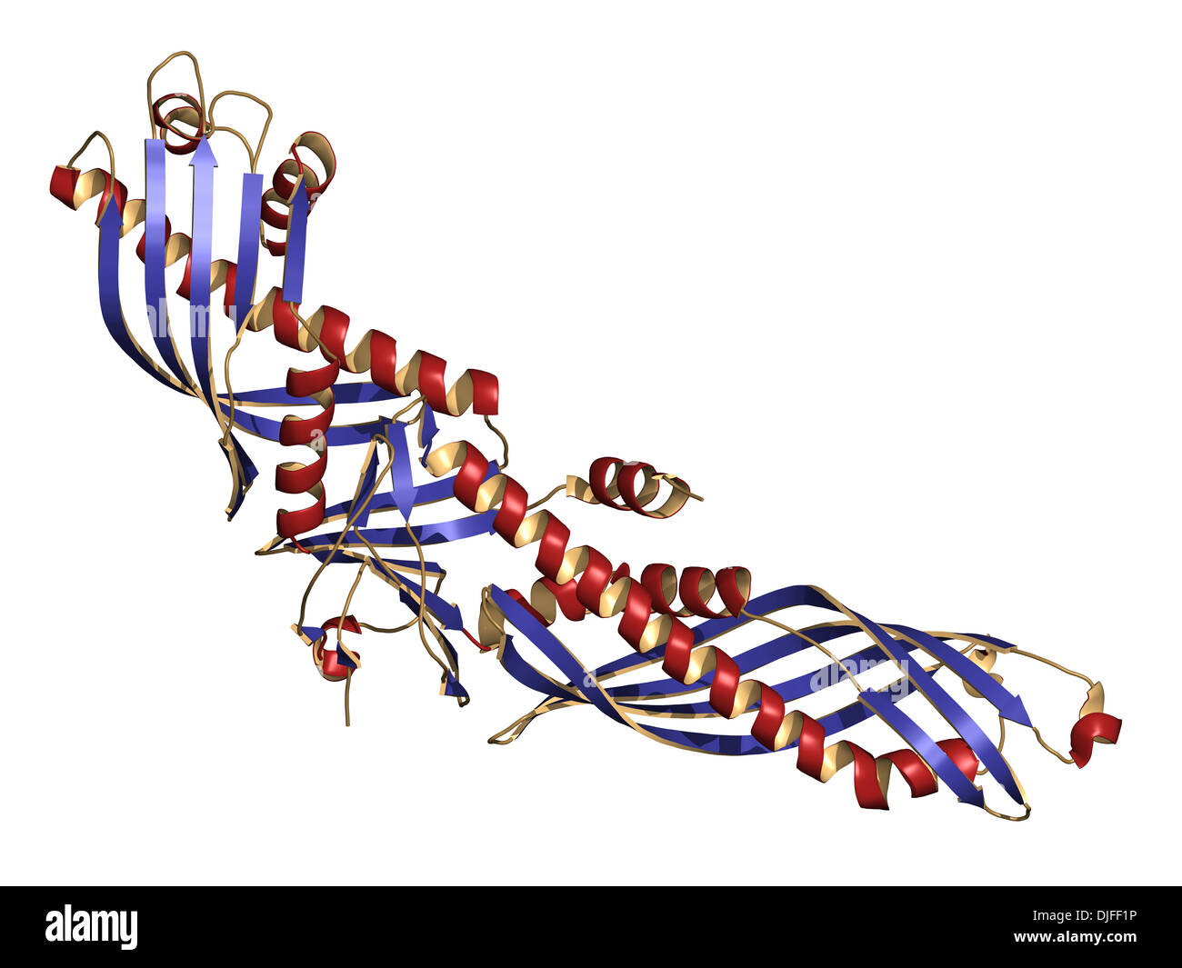 Cholesteryl ester transfer protein (CETP). Potential drug target in ...