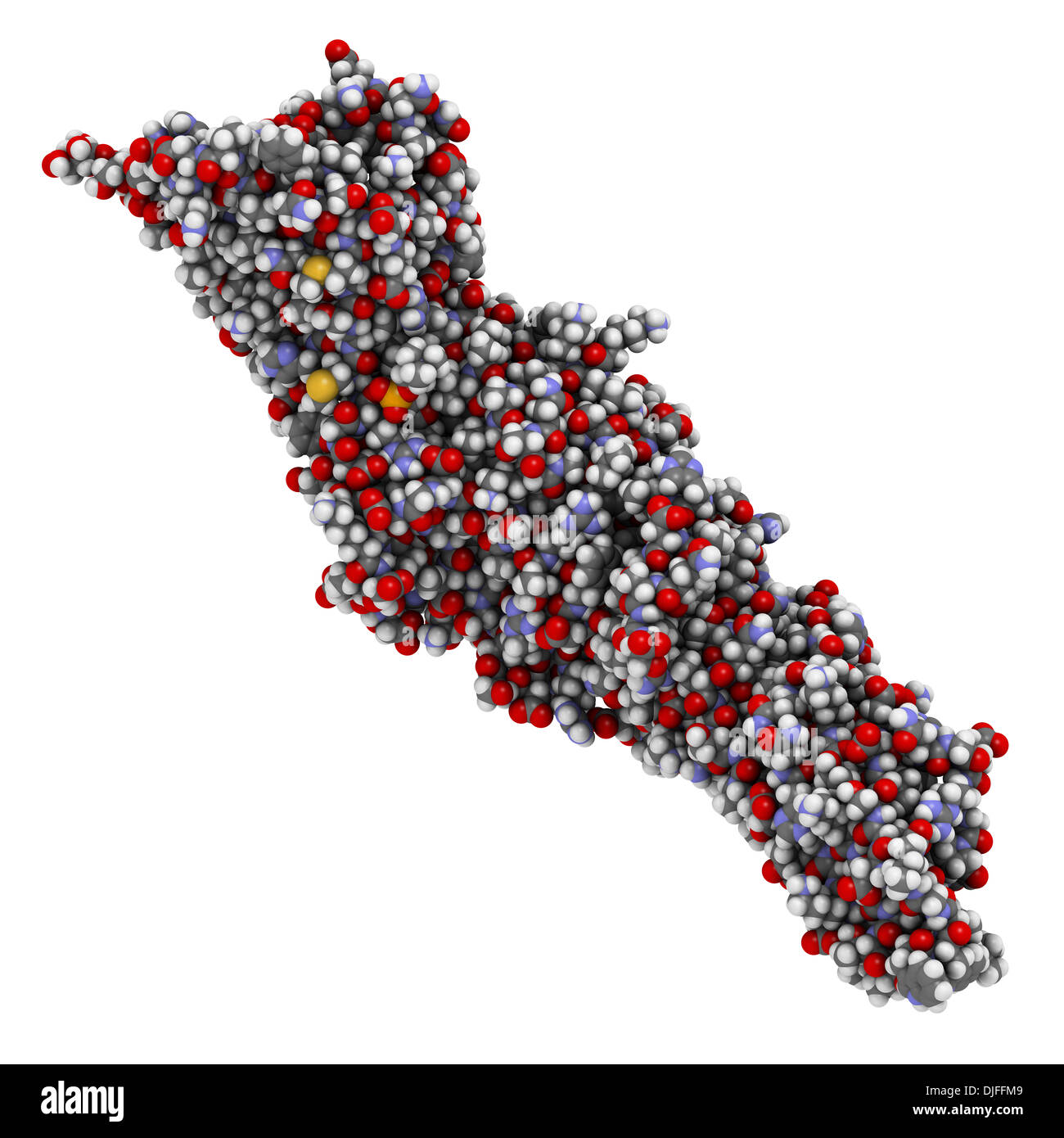 Cholesteryl ester transfer protein hi-res stock photography and images ...