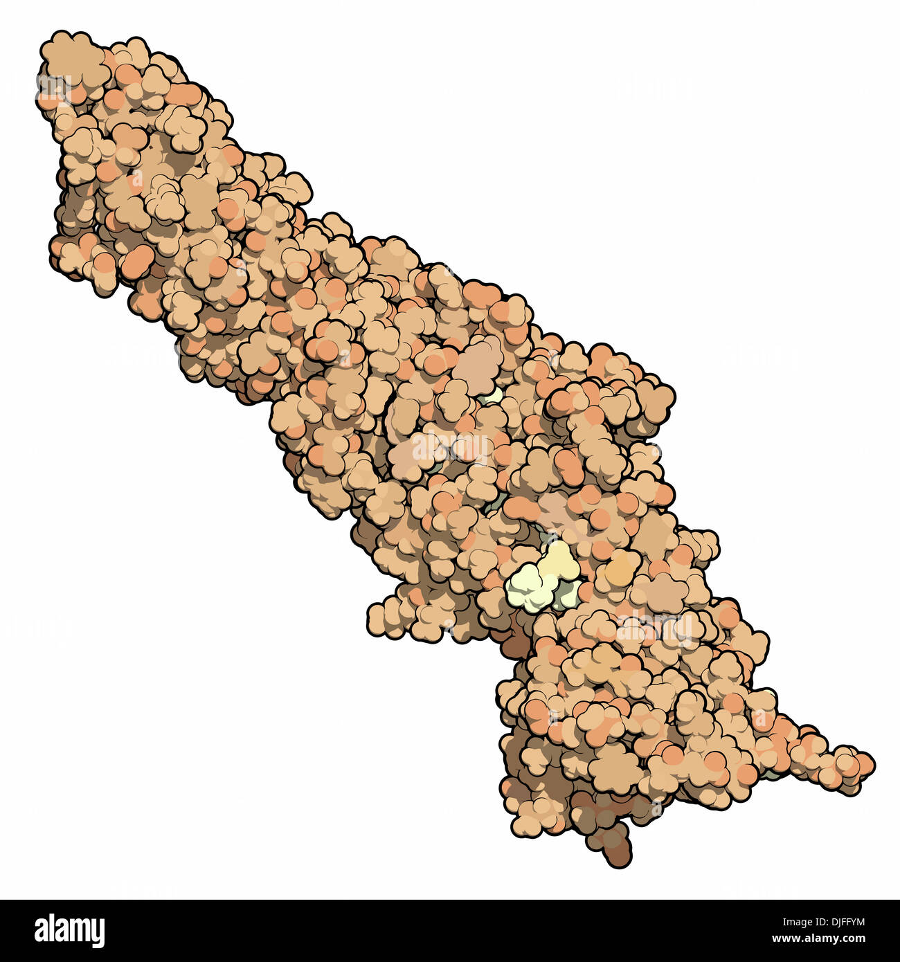 Cholesteryl ester transfer protein (CETP). Potential drug target in ...