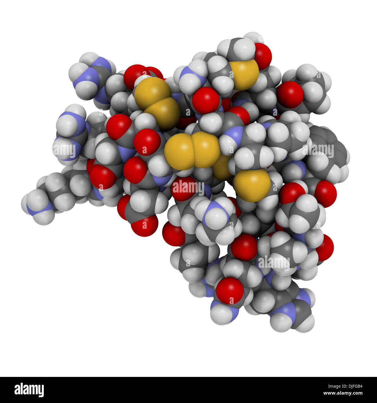 Chlorotoxin scorpion toxin. Peptide toxin present in deathstalker ...