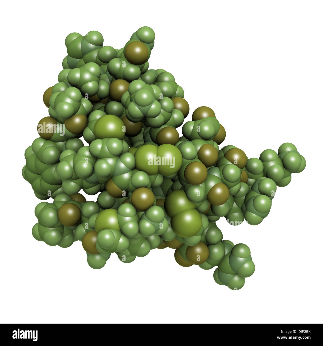 Chlorotoxin scorpion toxin. Peptide toxin present in deathstalker ...