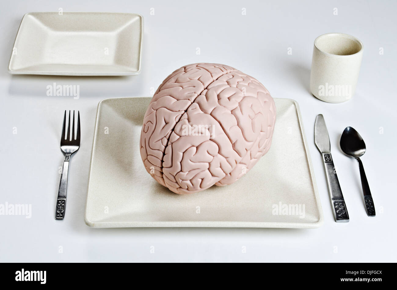 Human brain model on a dinner plate with silverware Stock Photo - Alamy