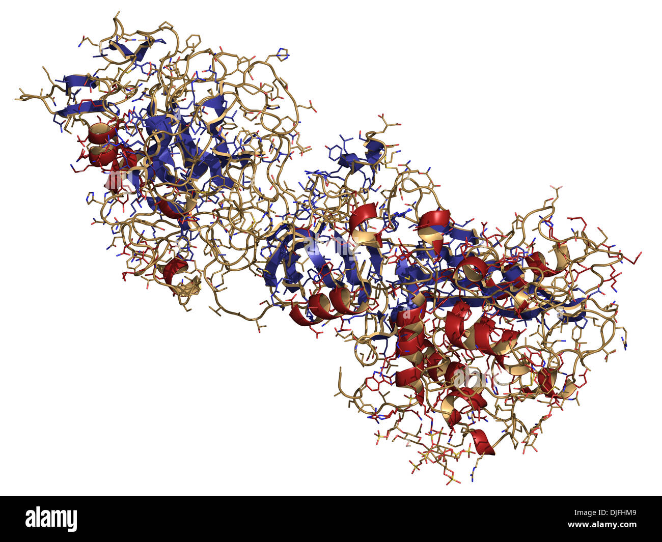 Coagulation factor IXa (FIXa), crystal structure. Hereditary deficiency ...