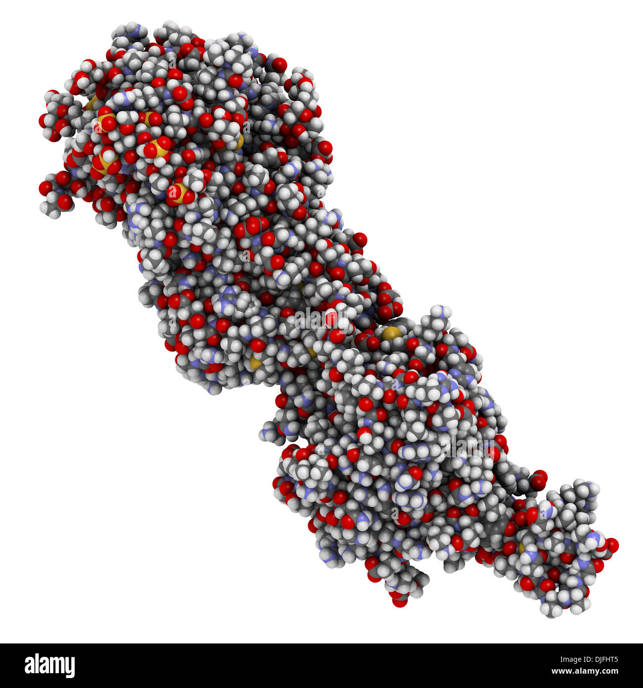 Coagulation factor IXa (FIXa), crystal structure. Hereditary deficiency ...