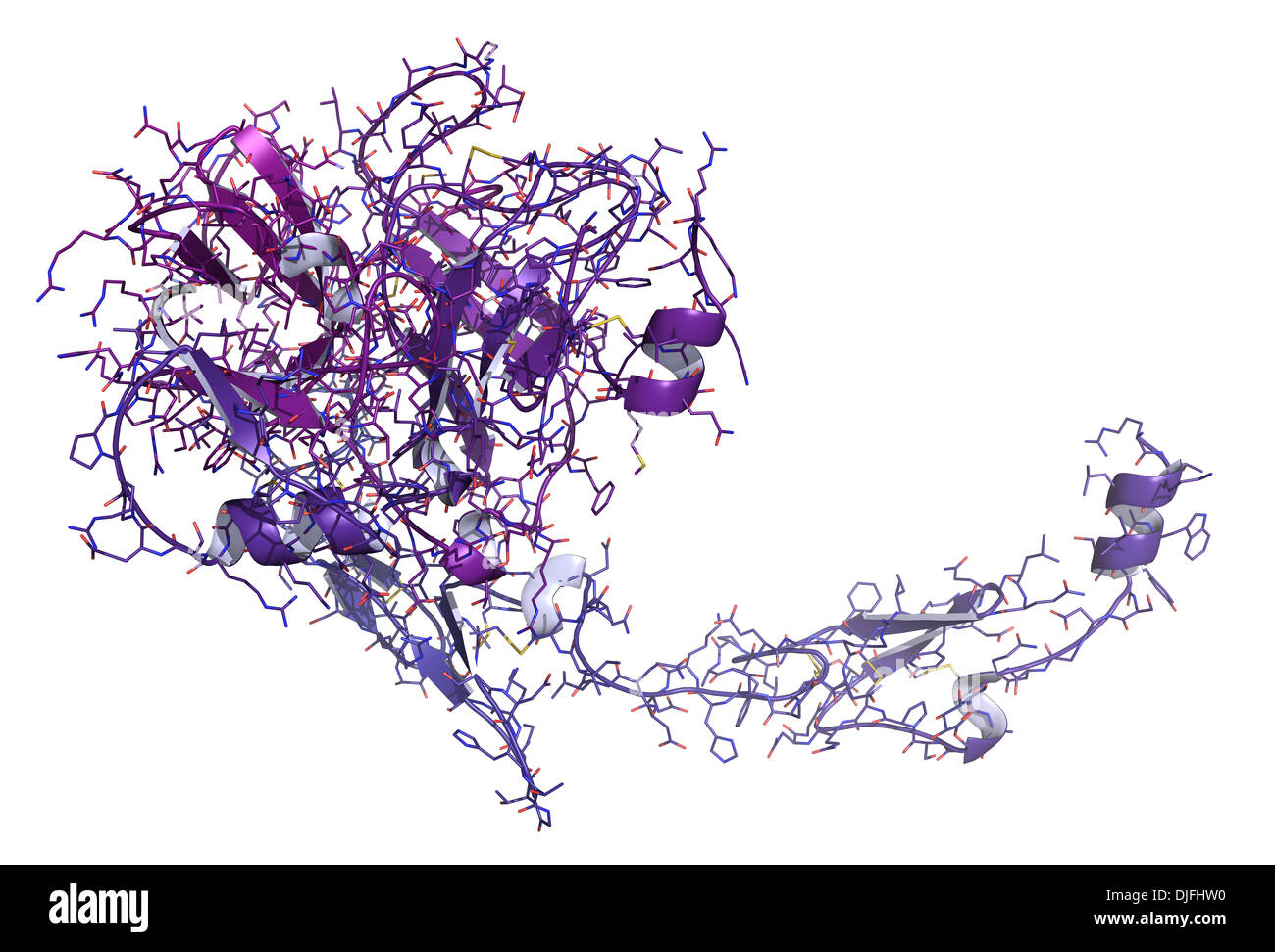 Activated coagulation factor VII (FVIIa), chemical structure. Plays ...