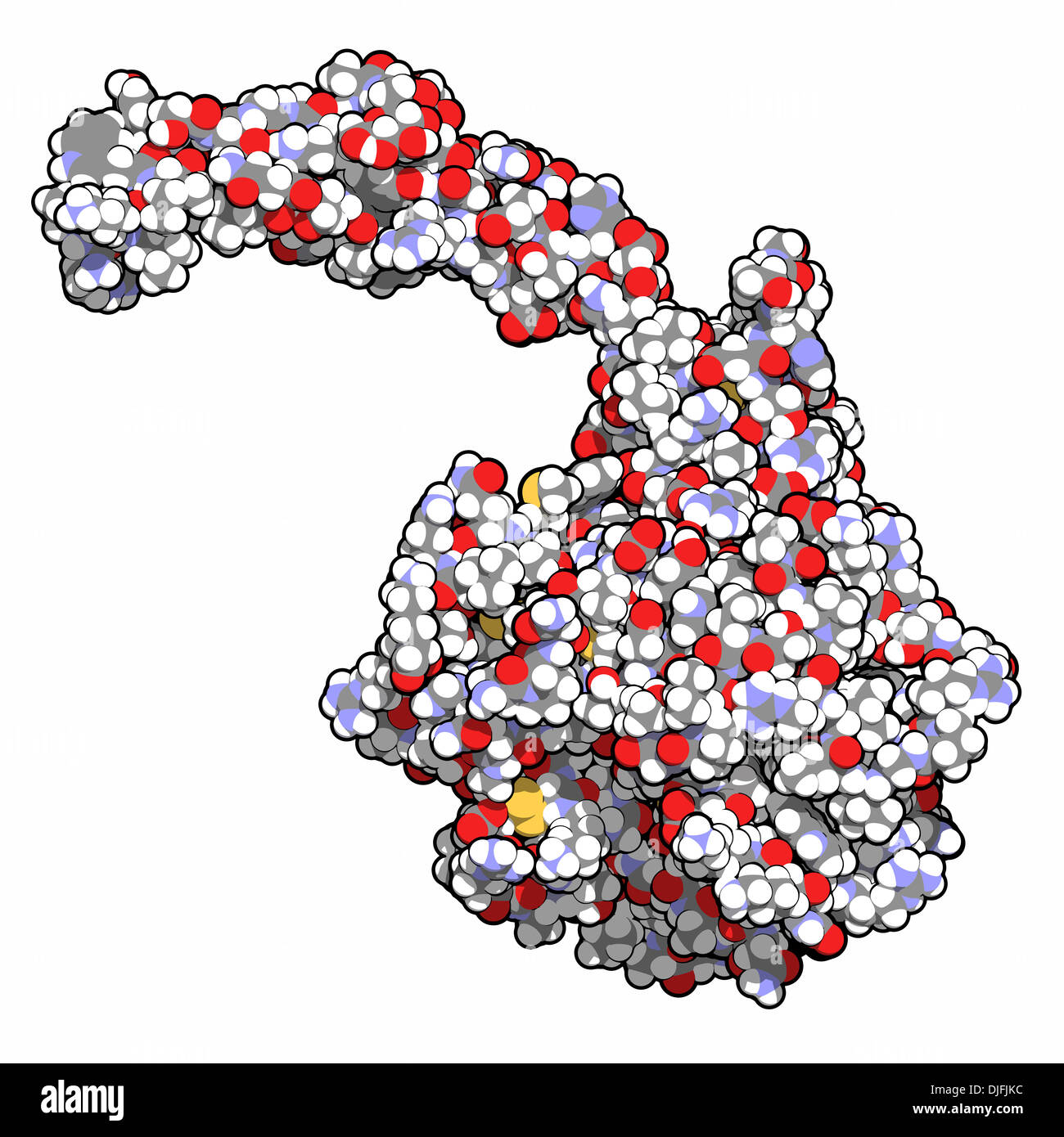 Activated coagulation factor VII (FVIIa), chemical structure. Plays ...