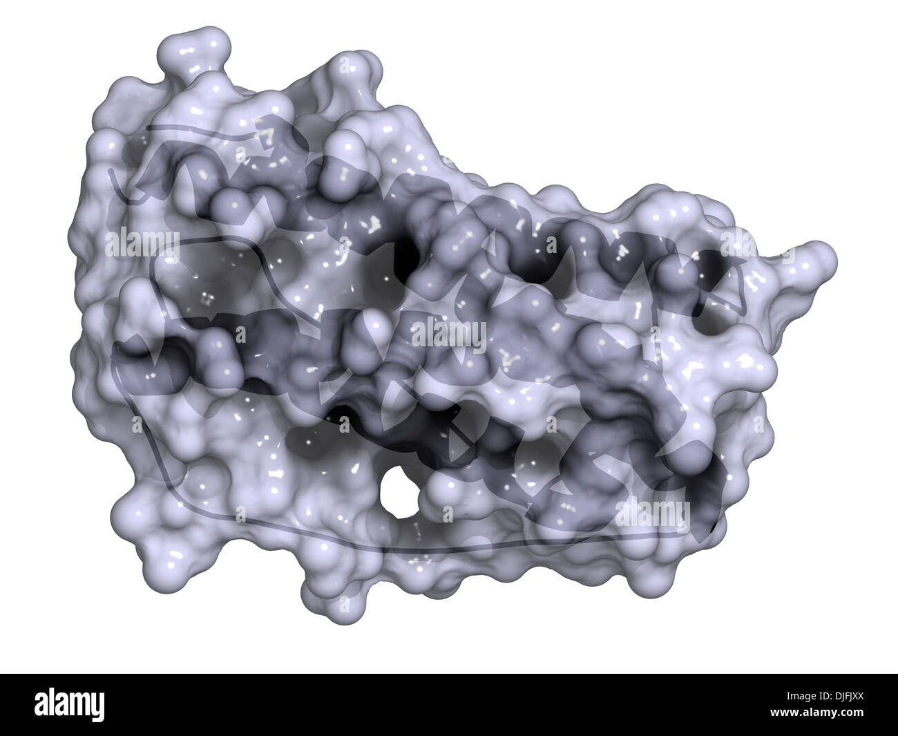 Granulocyte colony stimulating factor hi-res stock photography and ...