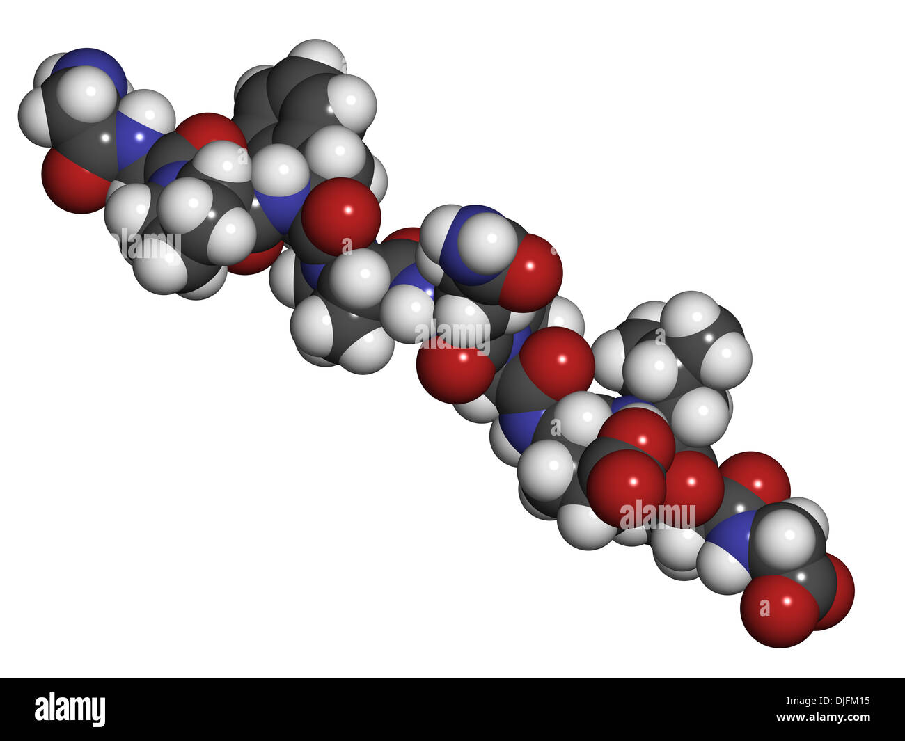 Transglutaminase hi-res stock photography and images - Alamy