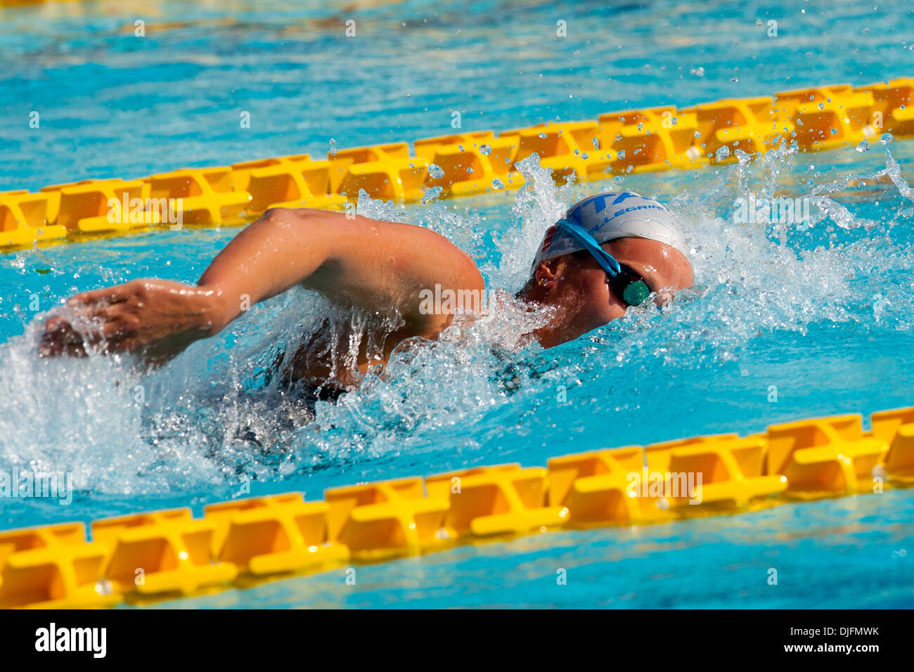 SWIMMING INTERNATIONAL OF ITALY ''Seven Hills Trophy'' LE NAIADI ...