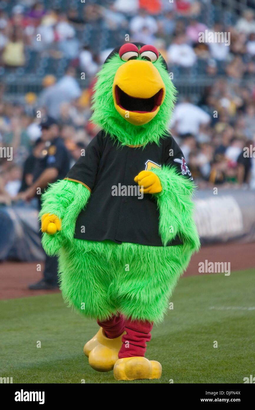 Pittsburgh pirate parrot hi-res stock photography and images - Alamy