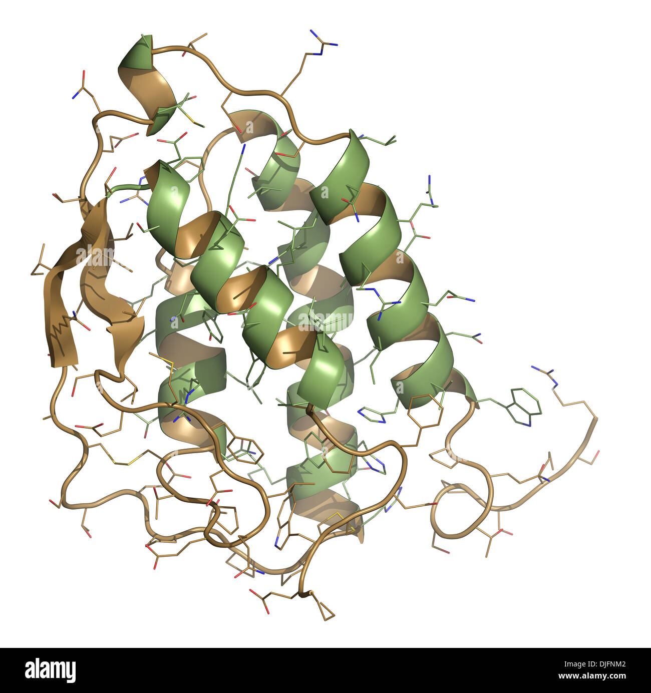Colony stimulating factor hi-res stock photography and images - Alamy