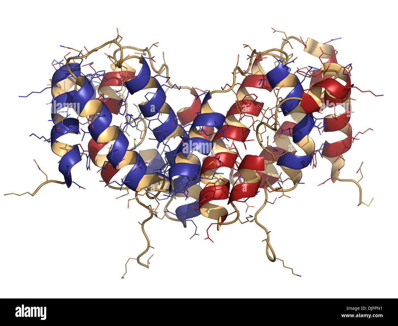 Interferon gamma hi-res stock photography and images - Alamy