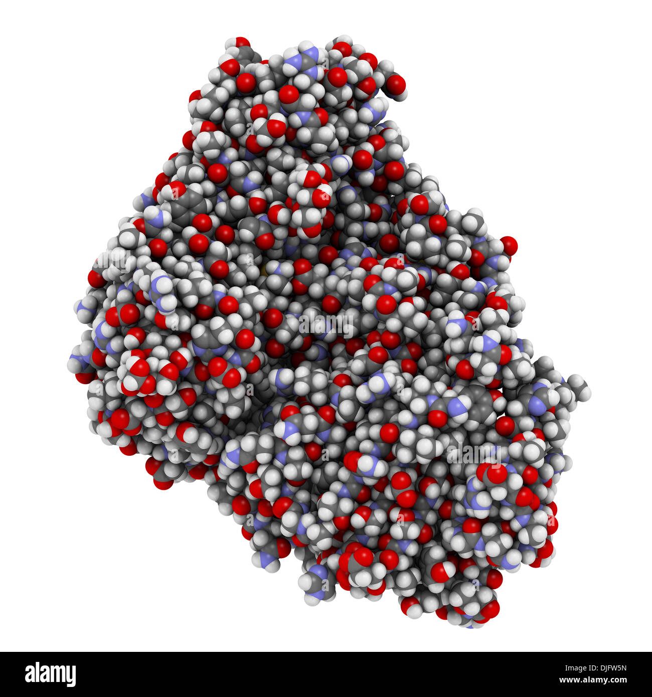 Ricin castor bean plant poisonous protein, chemical structure. Atoms ...