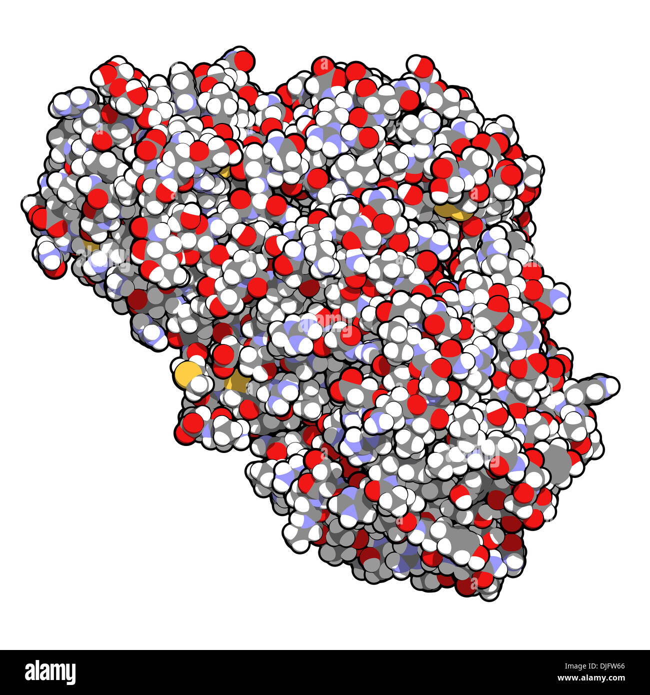 Protein ricin Cut Out Stock Images & Pictures - Alamy
