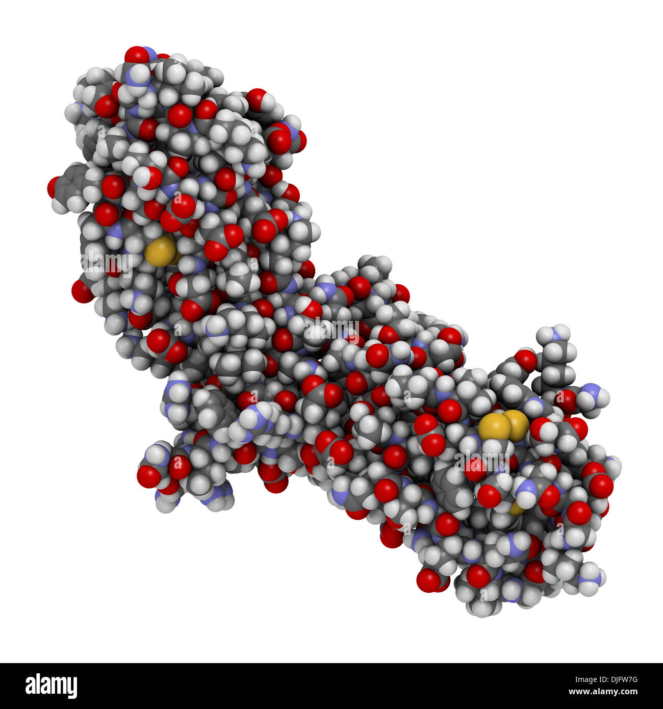 Tissue factor (TF, extracellular part) protein. Essential in extrinsic ...