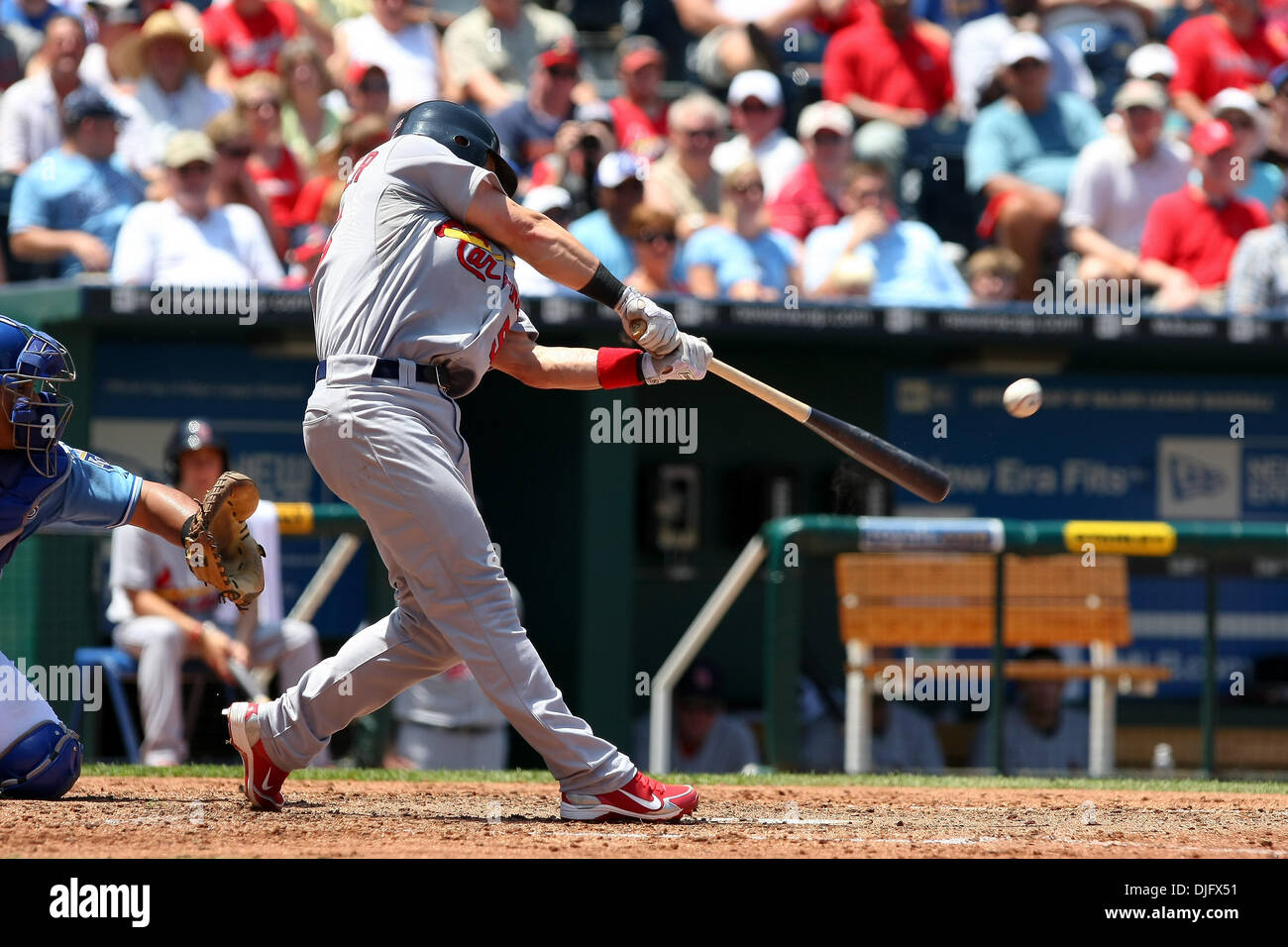 26 June 2010: St. Louis Cardinals second baseman Skip Schumaker (55 ...