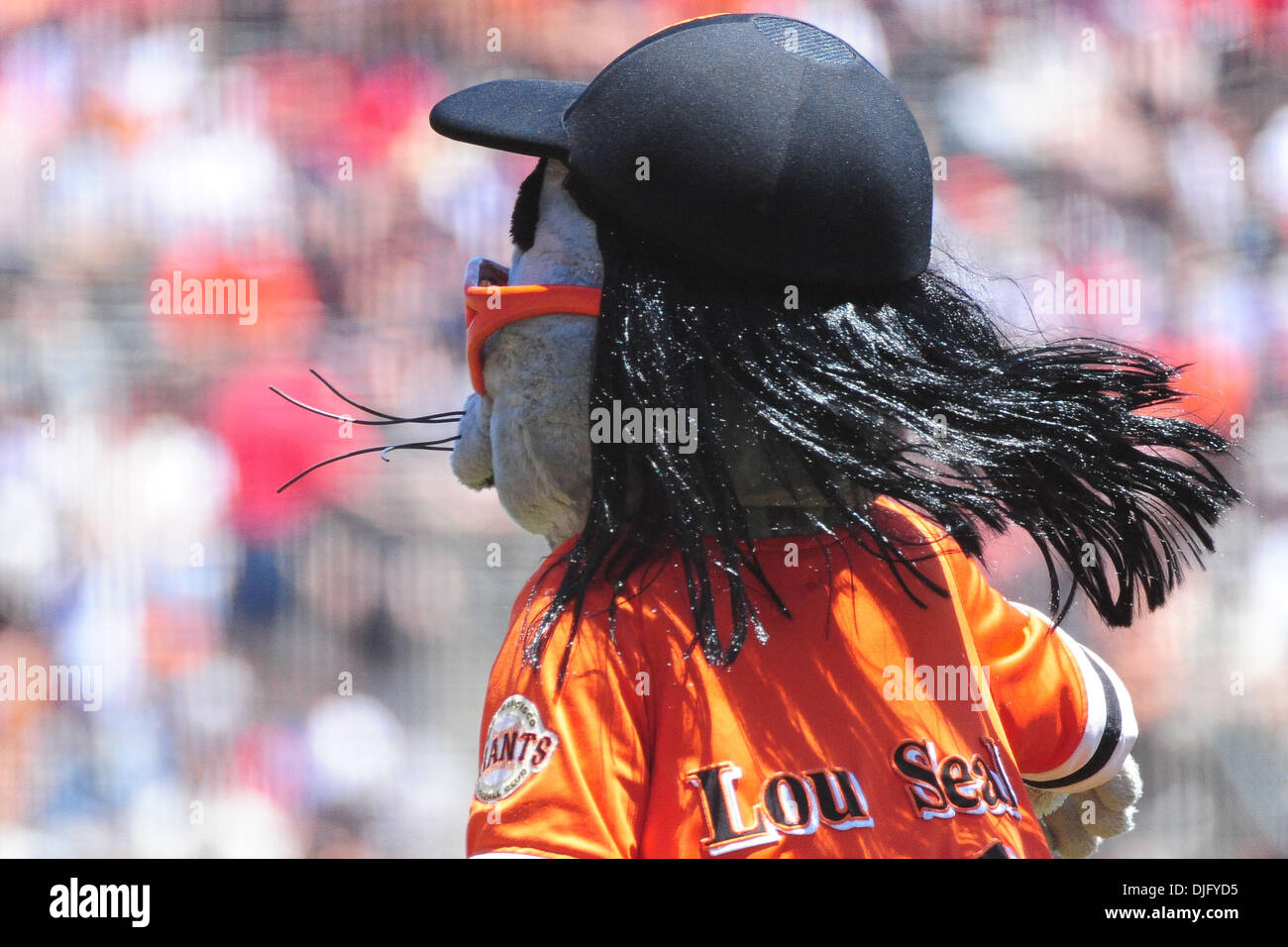 San Francisco, CA: San Francisco Giants mascot Lou Seal enjoys the wind ...