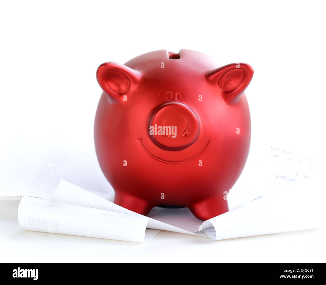 funny red Pig Piggy on white background Stock Photo - Alamy