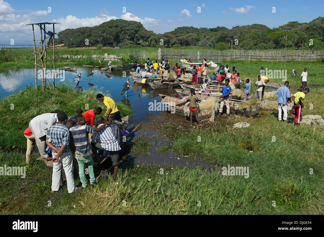 Fishers and Marabou Storks in the Awasa lake, Ethiopia Stock Photo - Alamy