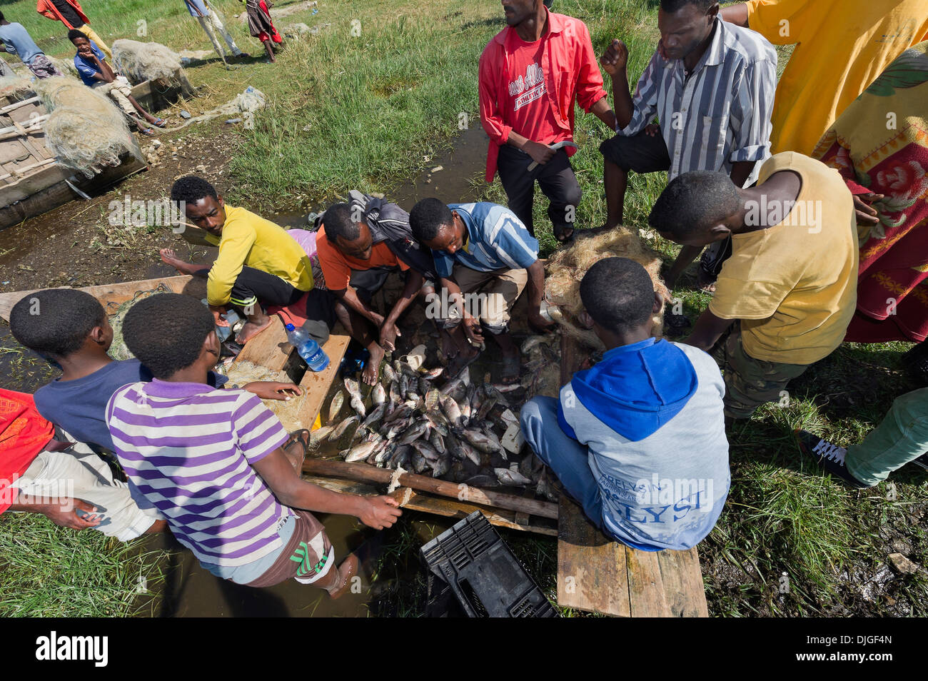 Fishers at the Awasa lake, Ethiopia Stock Photo - Alamy