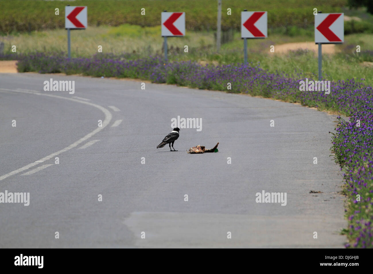 The crow road hi-res stock photography and images - Alamy