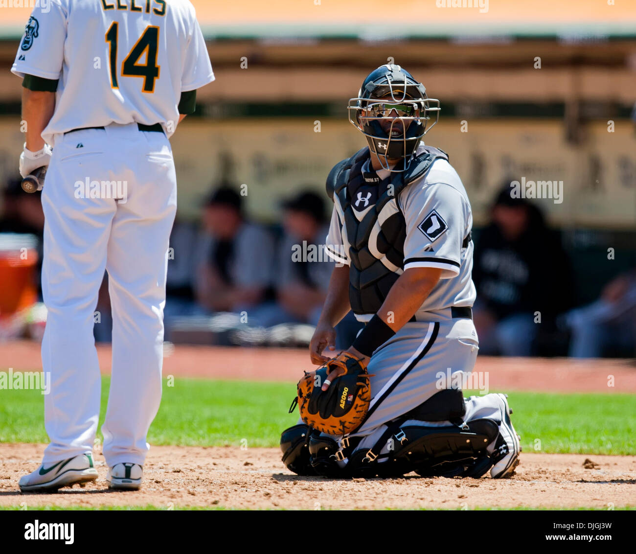 July 24, 2010 - Oakland, CA, United States of America - July 24, 2010 ...