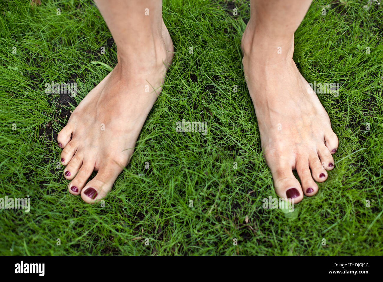 Woman feet on the green grass Stock Photo - Alamy