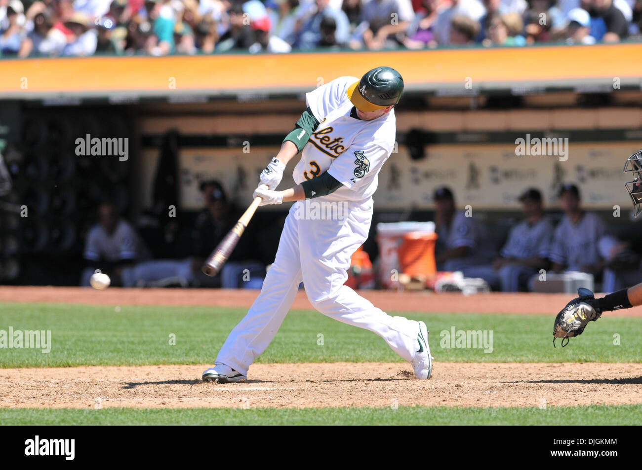 Jack cust hi-res stock photography and images - Alamy